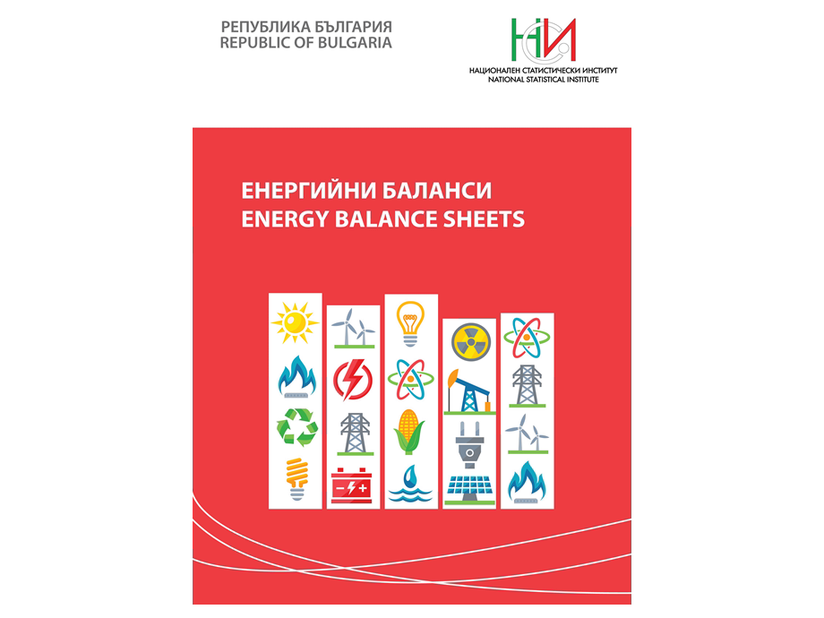 Energy Balance Sheets 2021